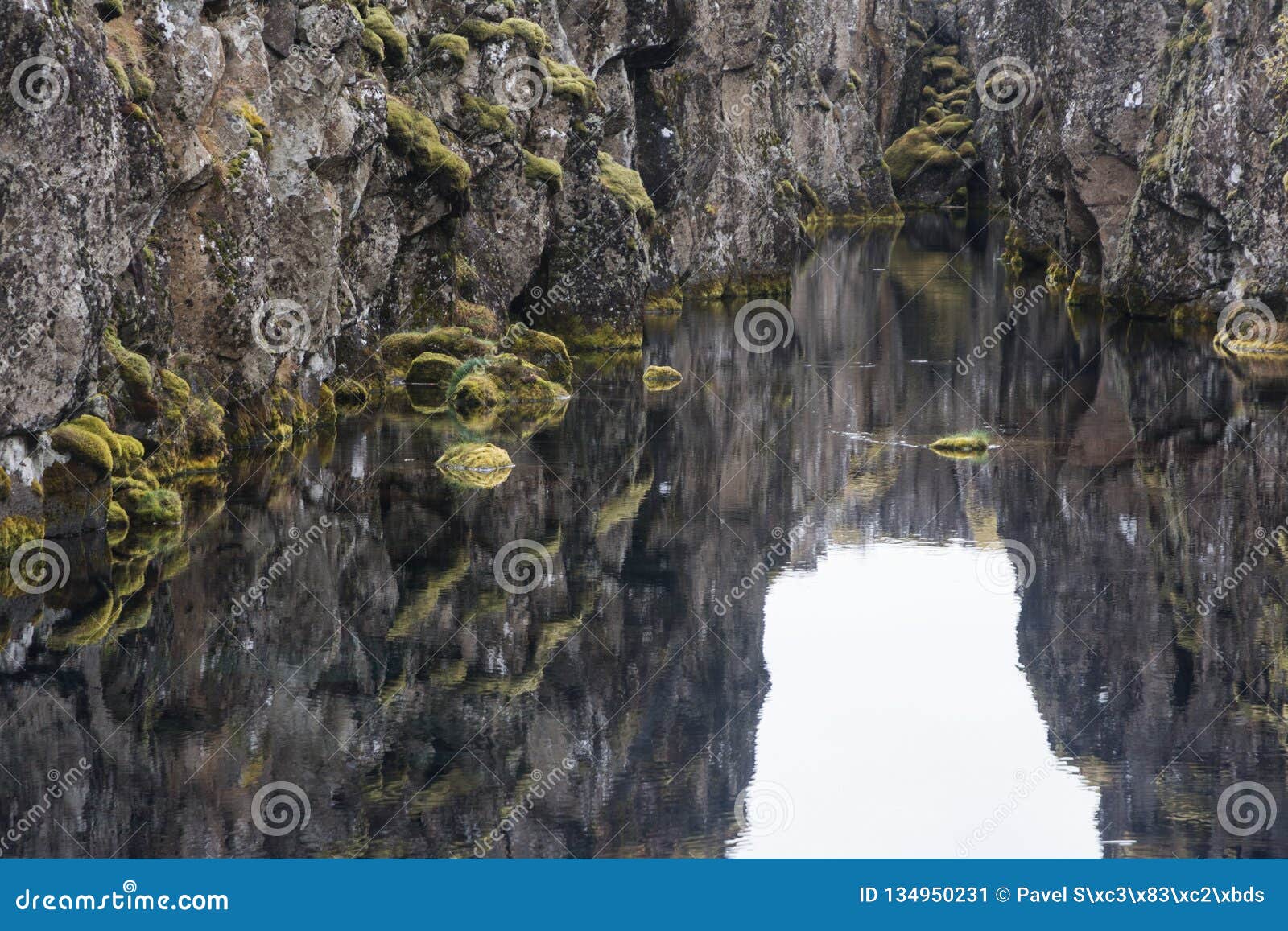 Reflection of the Landscape in the Water Surface Stock Image - Image of ...