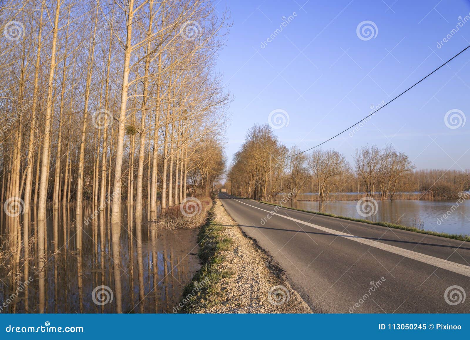 Leafless trees and Highway stock image. Image of highway - 113050245