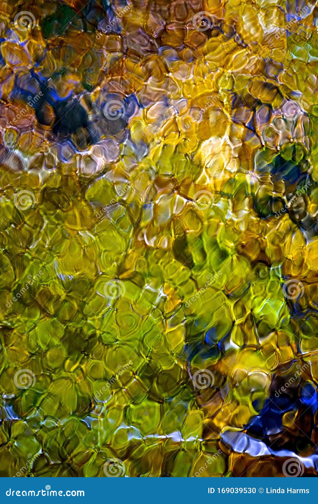 The Reflection of Leaves in a Stream Create Impressionist Patterns and ...