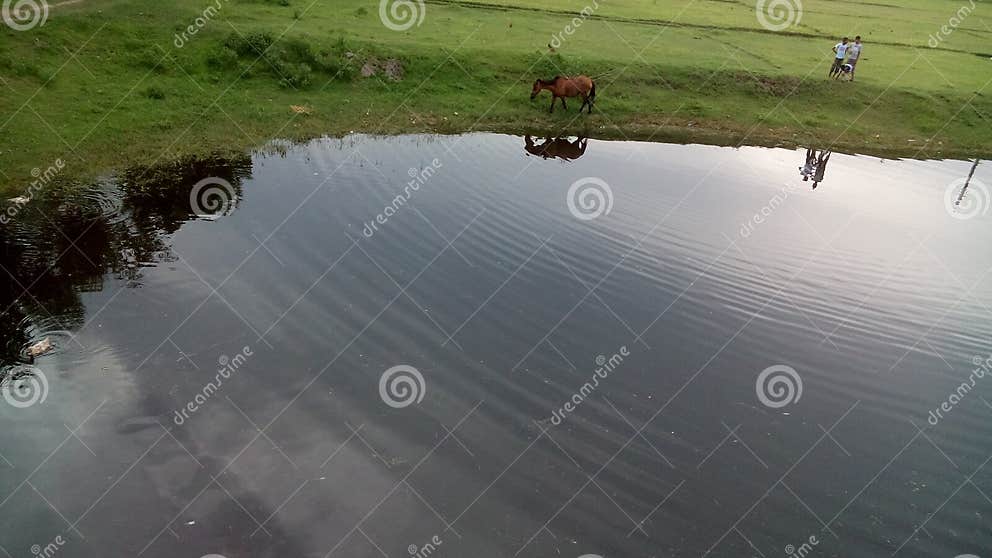 Reflection of life stock photo. Image of life, reflection - 78165242