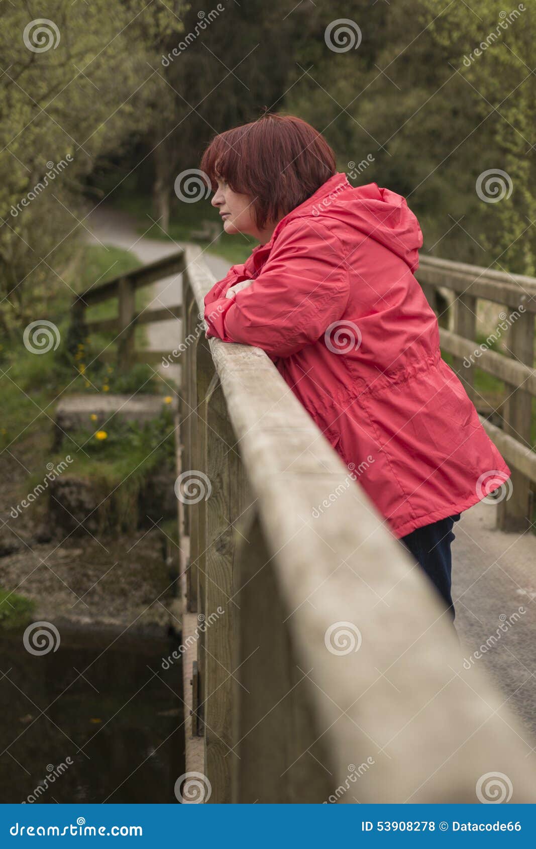 Reflection on life stock photo. Image of alone, people - 53908278