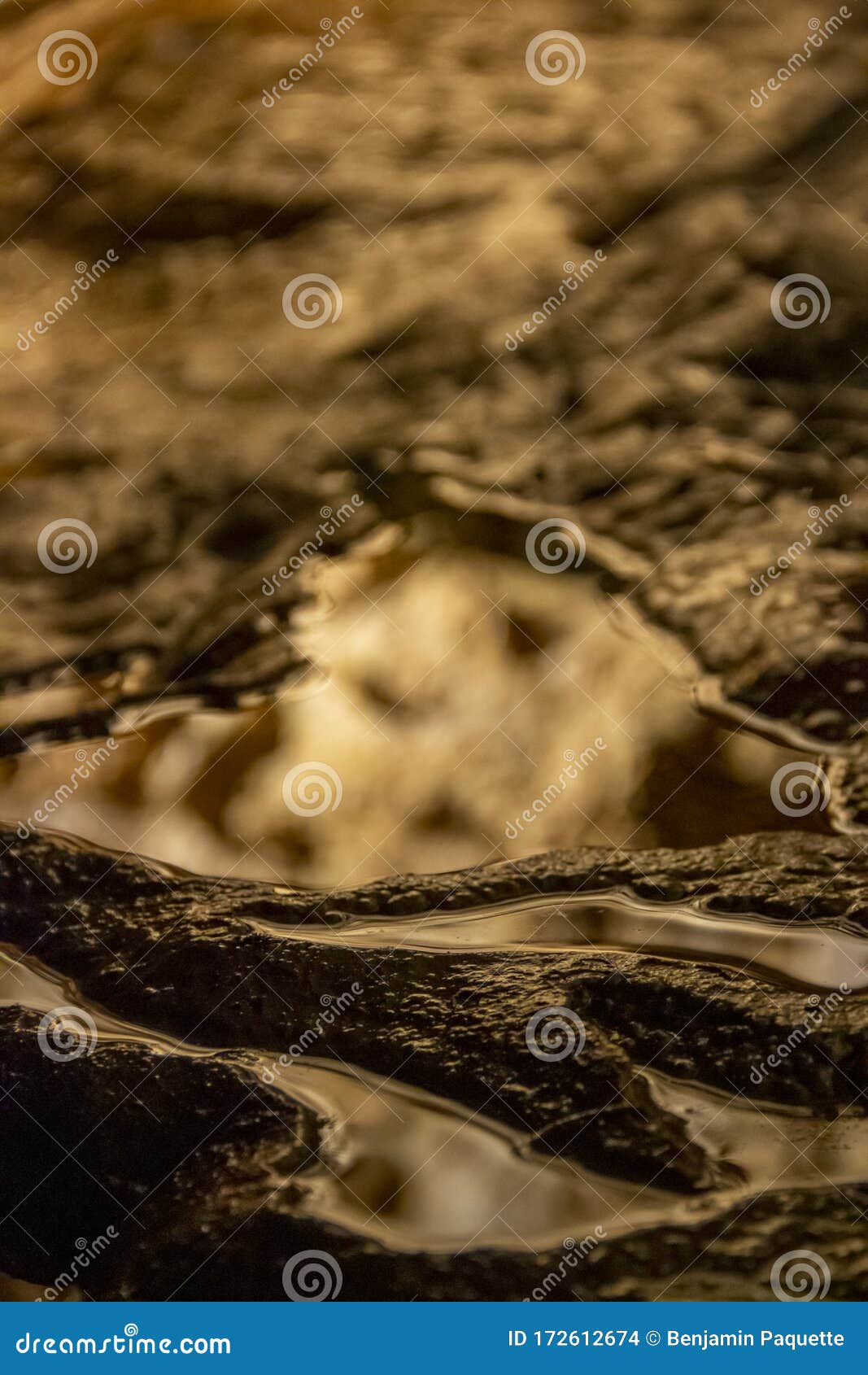 Reflection of Light in a Puddle Stock Photo - Image of fall, forest ...