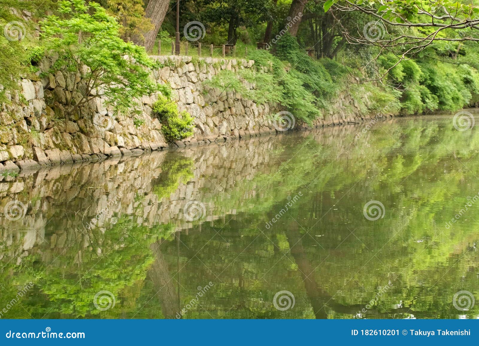 Reflection of Long Stone Wall Under Water Stock Image - Image of branch ...