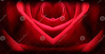 Reflection of love stock image. Image of celebrate, celebration - 749137