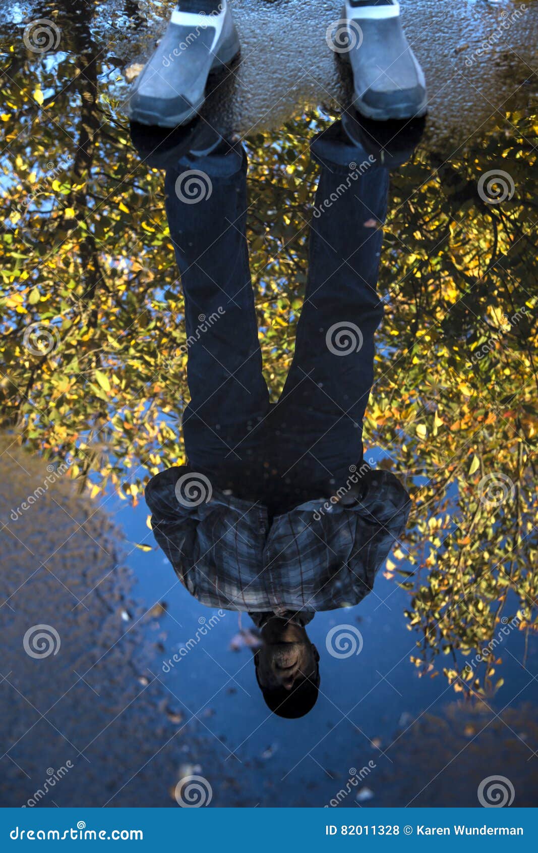 Reflection of Man in Puddle Stock Photo - Image of puddle, branches ...