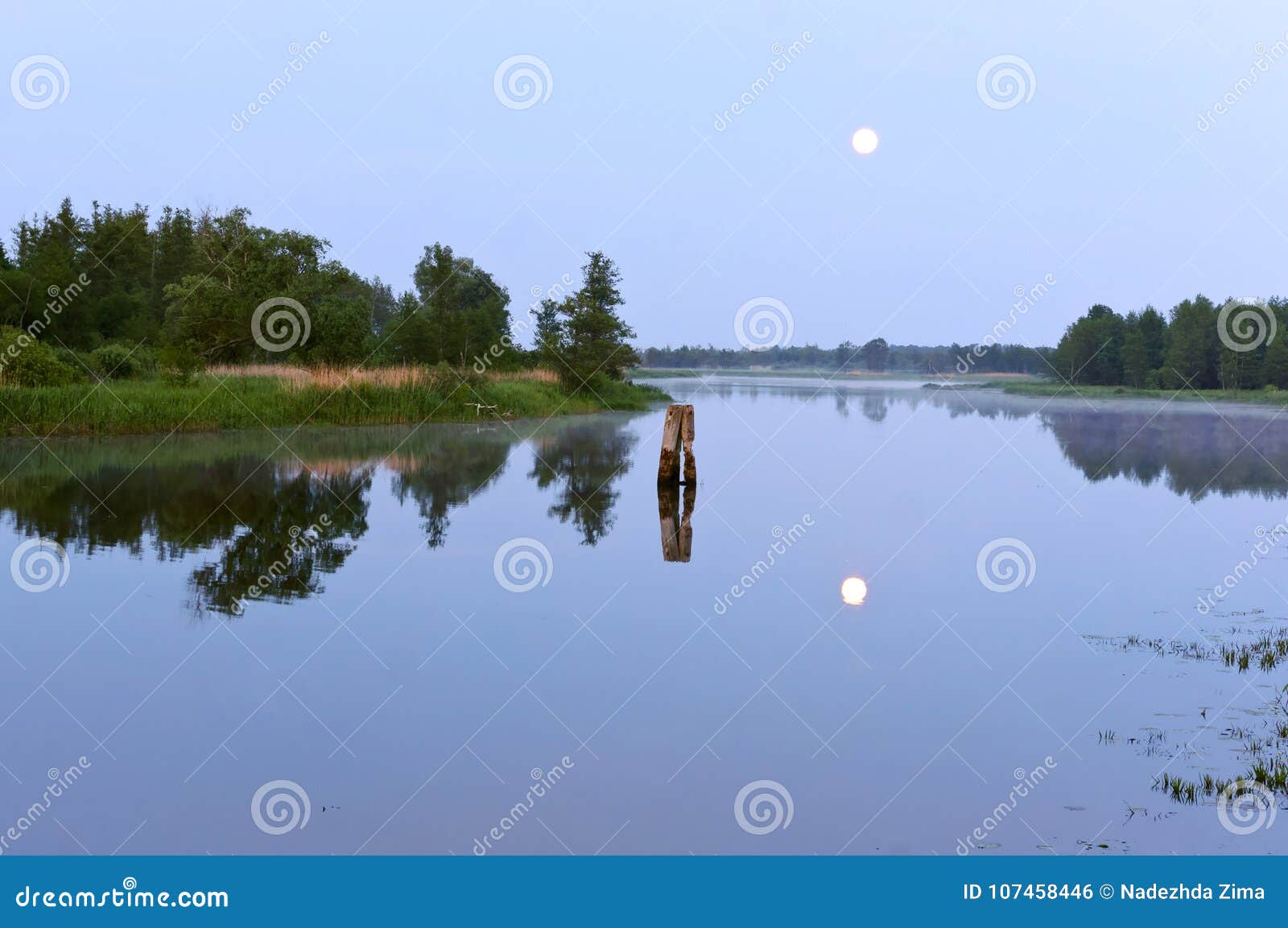 The Reflection of the Moon in the Pond, Clear Night, Moonlight Stock ...