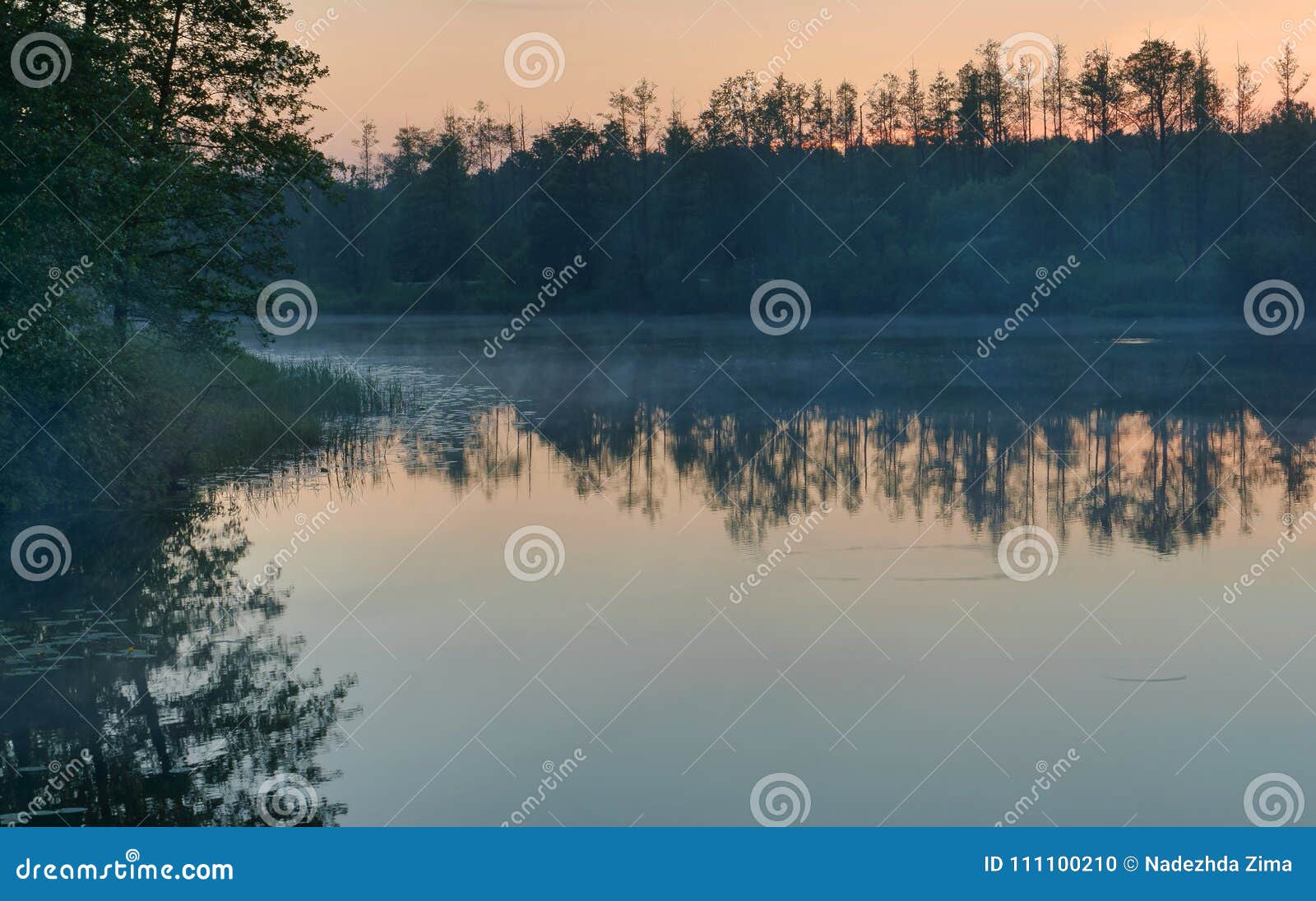 The Reflection of the Moon in the Pond, Clear Night, Moonlight Stock ...