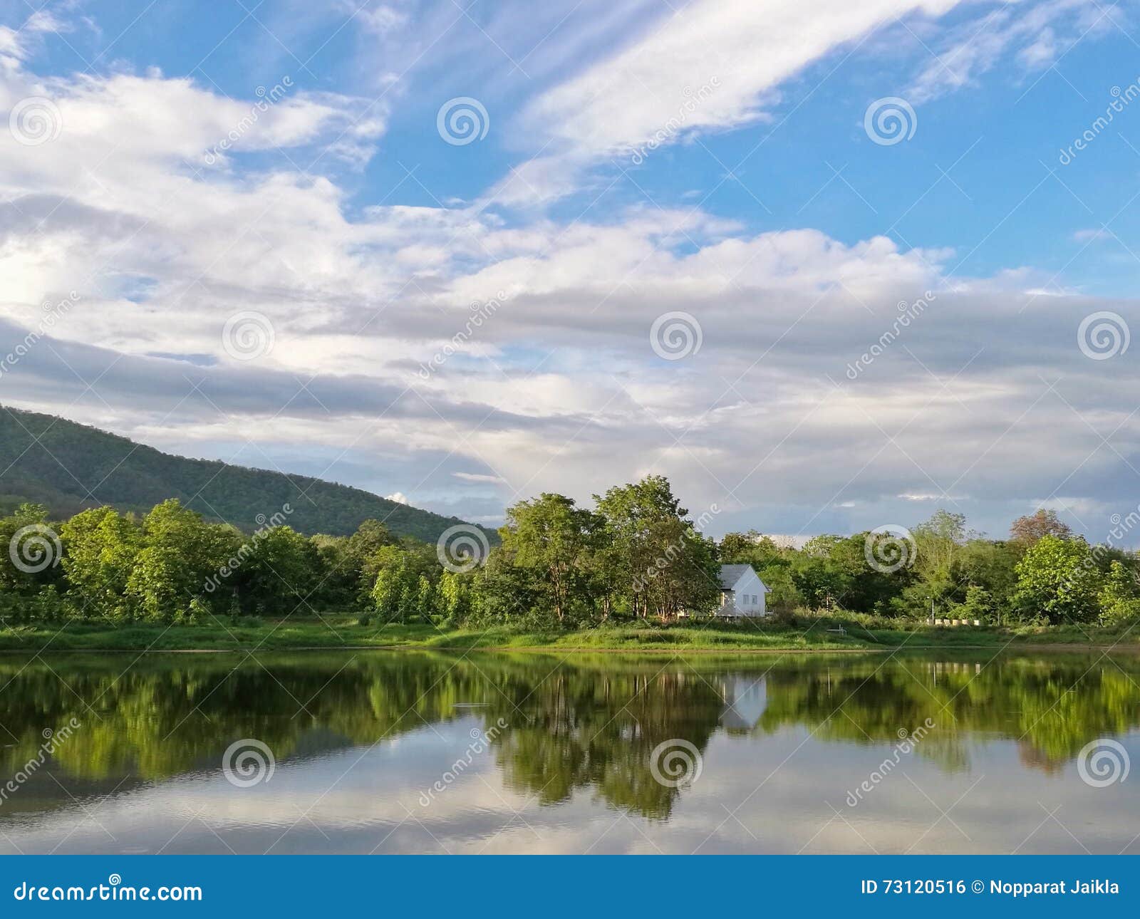 Reflection of Natural Tree and Sky in a Lake Stock Photo - Image of ...