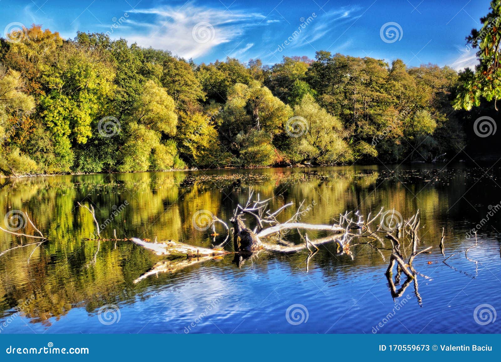 Reflection in nature stock image. Image of landscape - 170559673