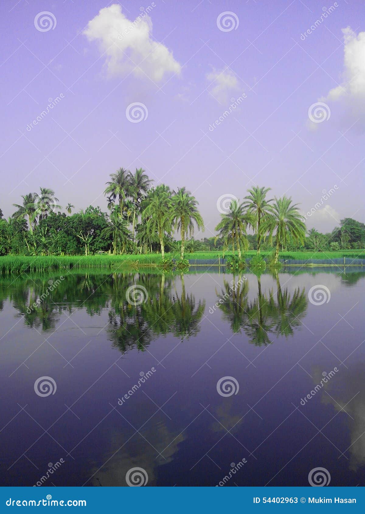 Reflection of nature stock image. Image of water, nature - 54402963