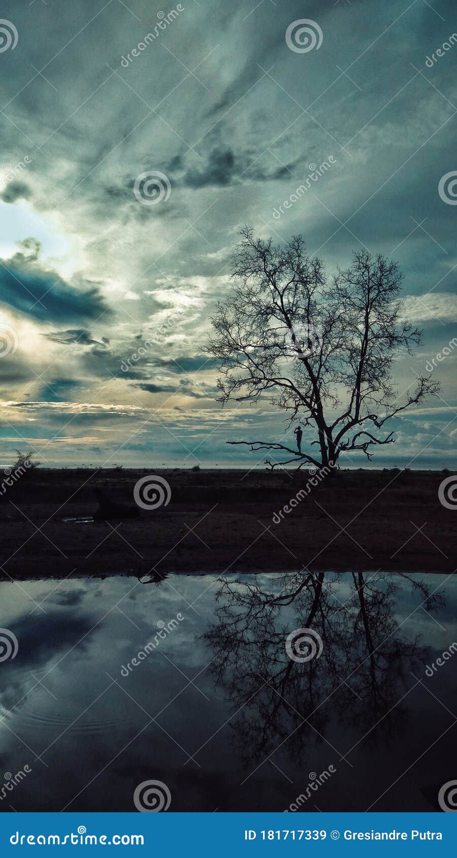 The Reflection of Nature in the Afternoon Stock Image - Image of beach ...