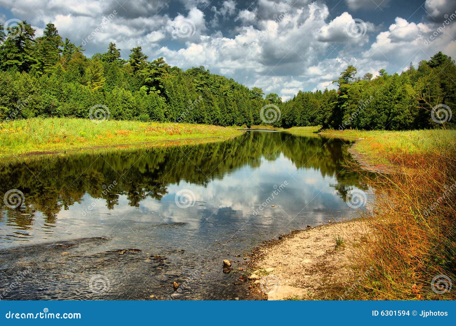 Reflection of Nature (HDR) stock photo. Image of pond - 6301594