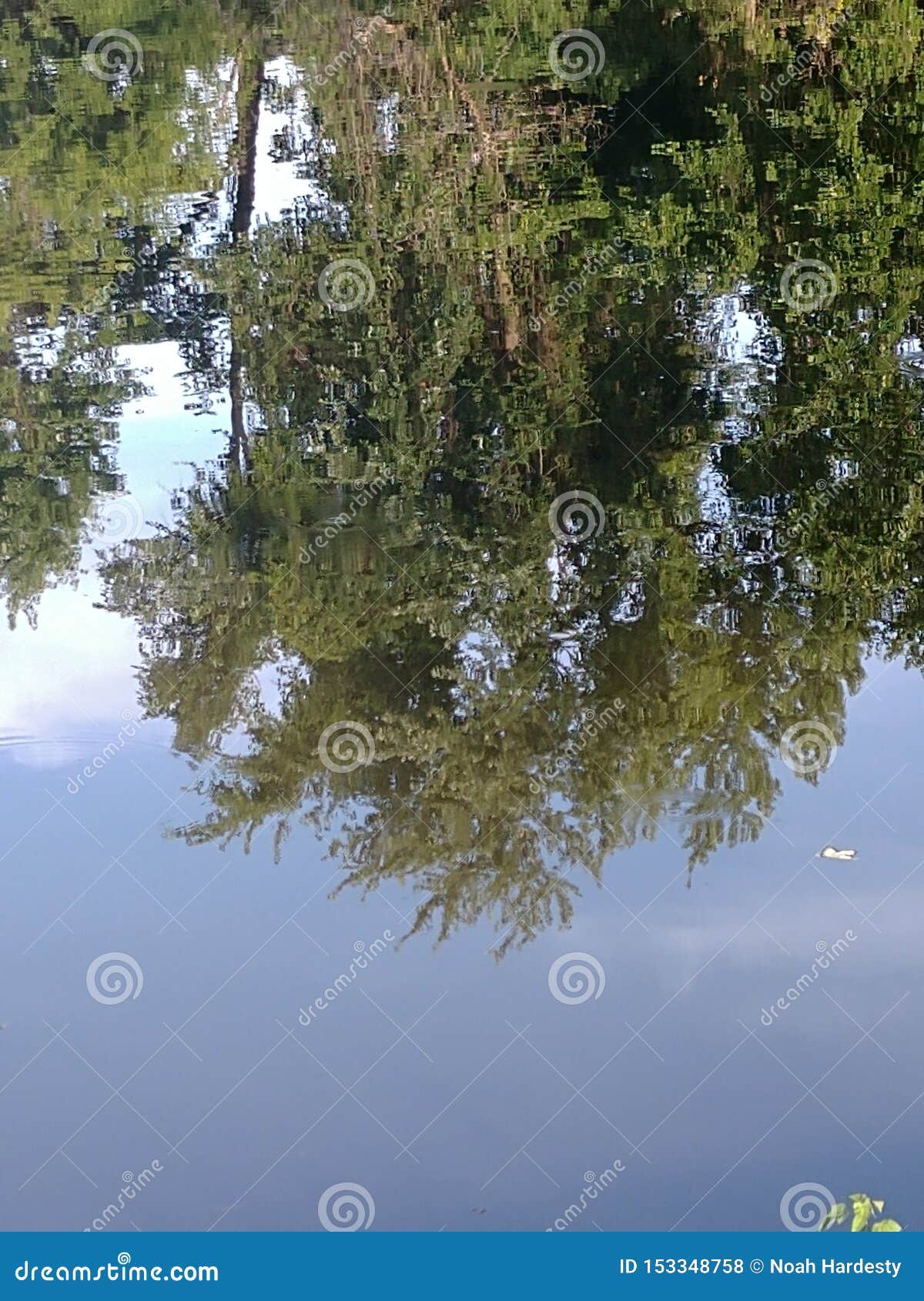 Reflection of nature stock photo. Image of reflection - 153348758