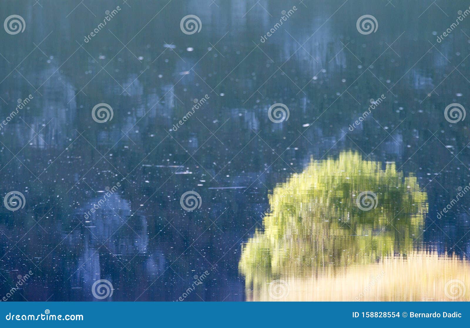 Reflection of Nature in Water. Stock Photo - Image of forest ...
