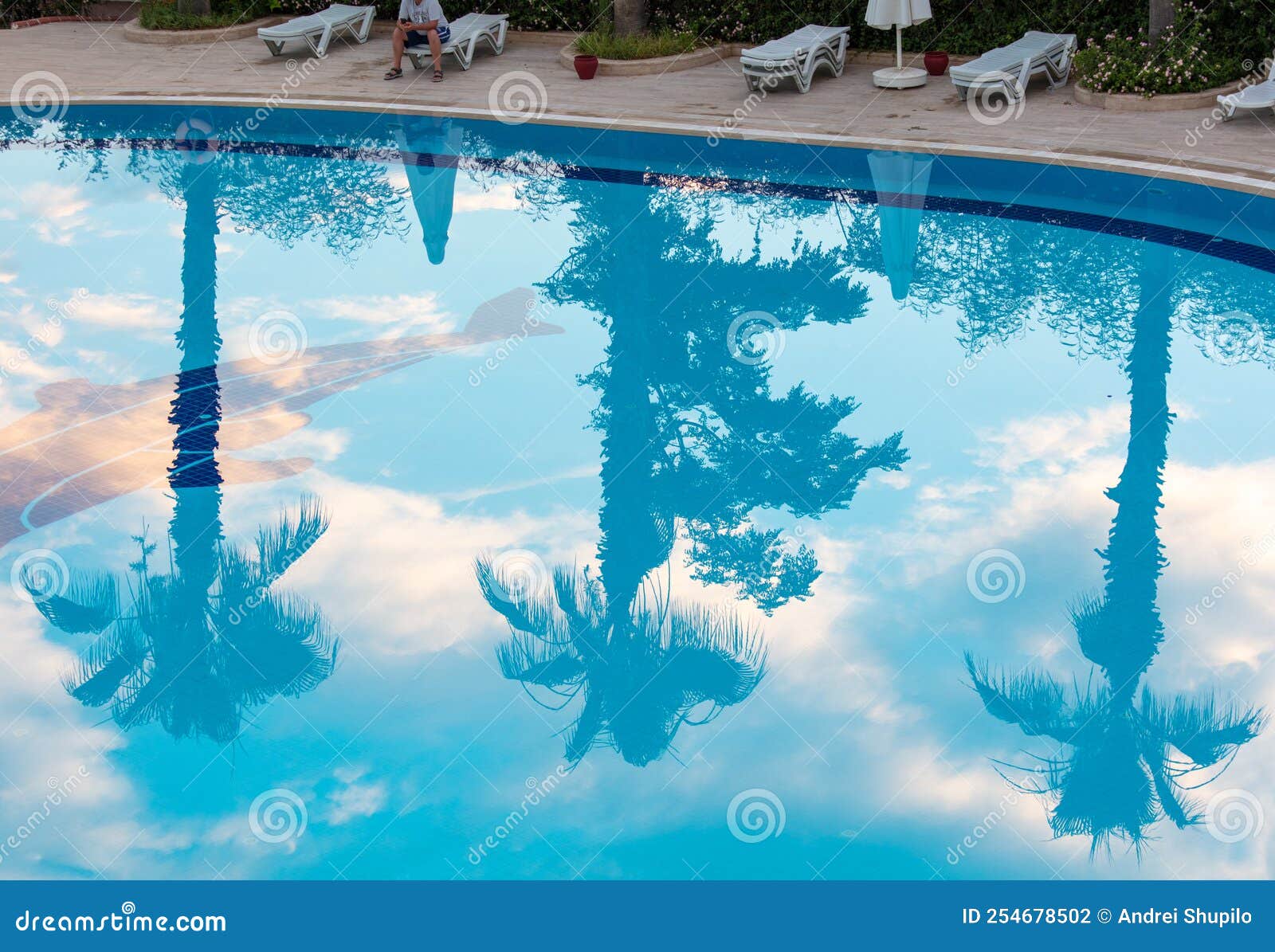 Reflection of a Palm Tree in the Blue Water of the Pool. Stock Photo ...