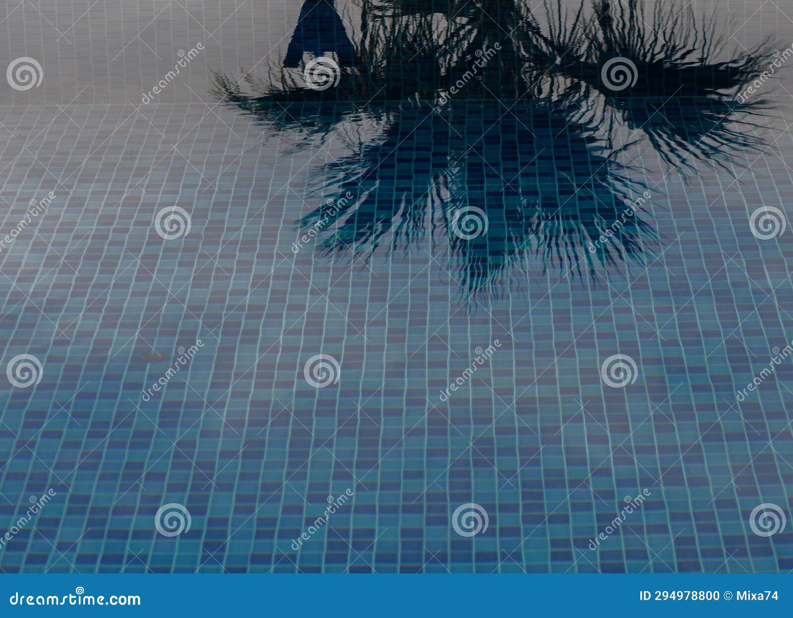 Reflection of a Palm Tree in the Water of a Swimming Pool 1 Stock Photo ...