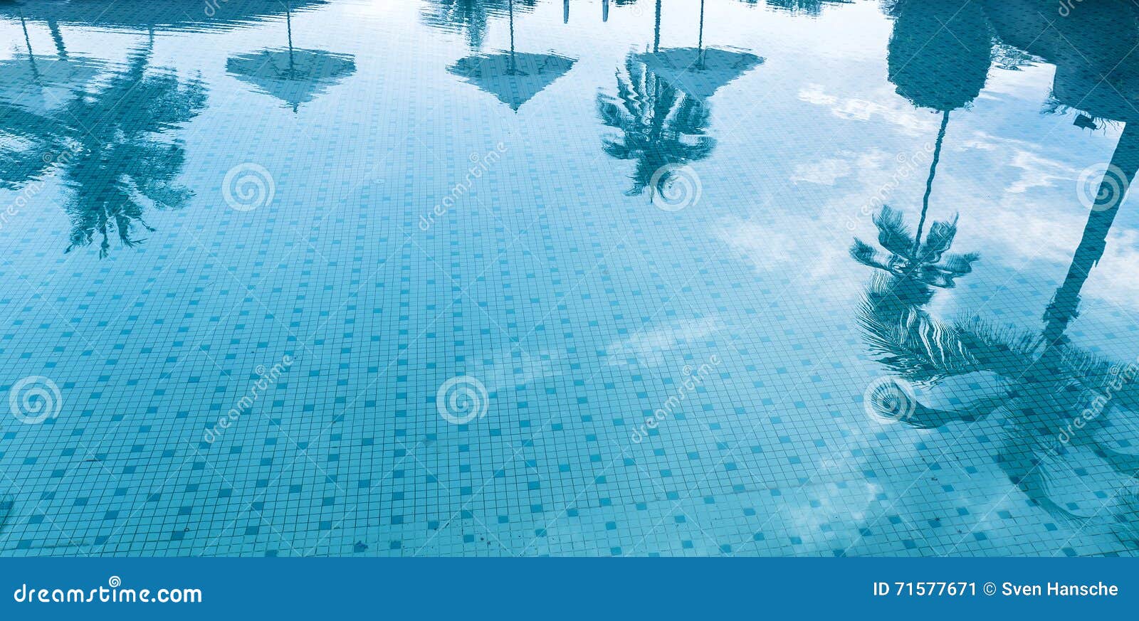 Reflection of Palm Trees on the Water of a Swimming Pool Stock Image ...