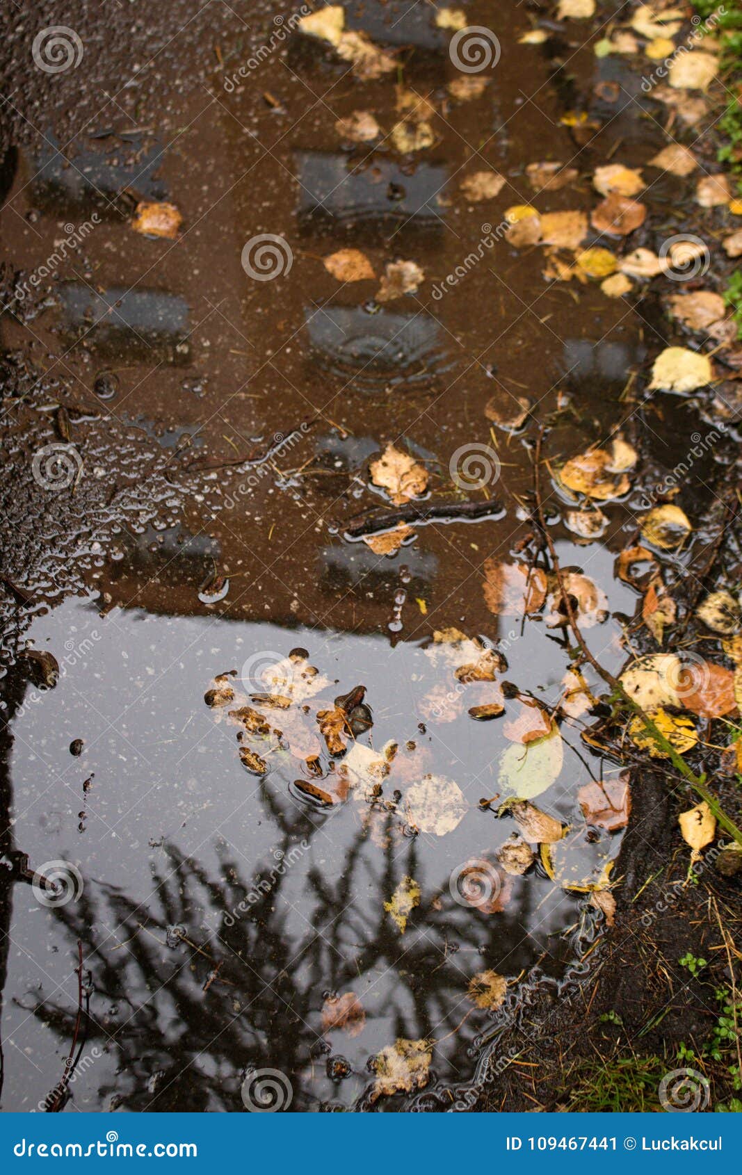 Reflection of the Panel House in the Puddle. Stock Image - Image of ...