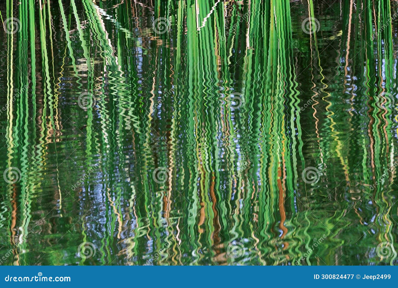 Reflection Patterns of Aquatic Plant. Stock Image - Image of trees ...