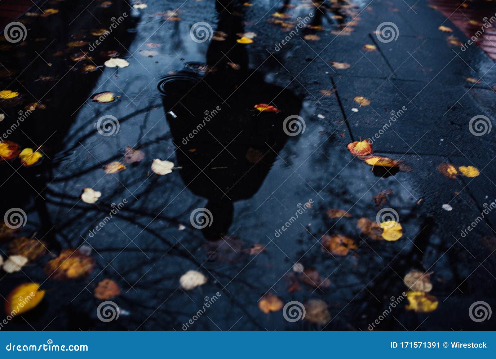 Reflection of a Person in a Puddle of Water Under the Rain Stock Image ...