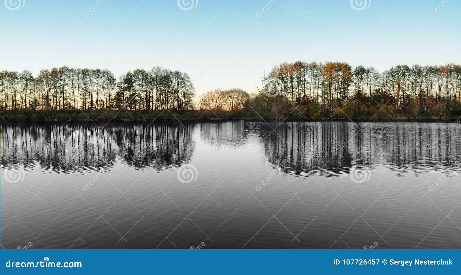 Reflection. Picturesque Reflection of Trees in the River Stock Image ...