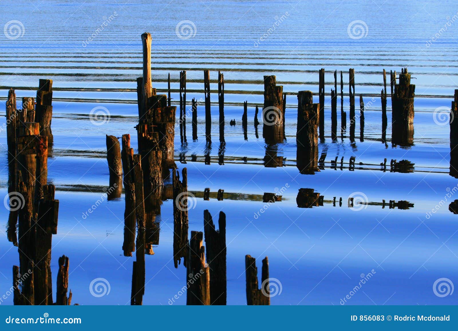 Reflection pier stock image. Image of ripple, tasmania - 856083