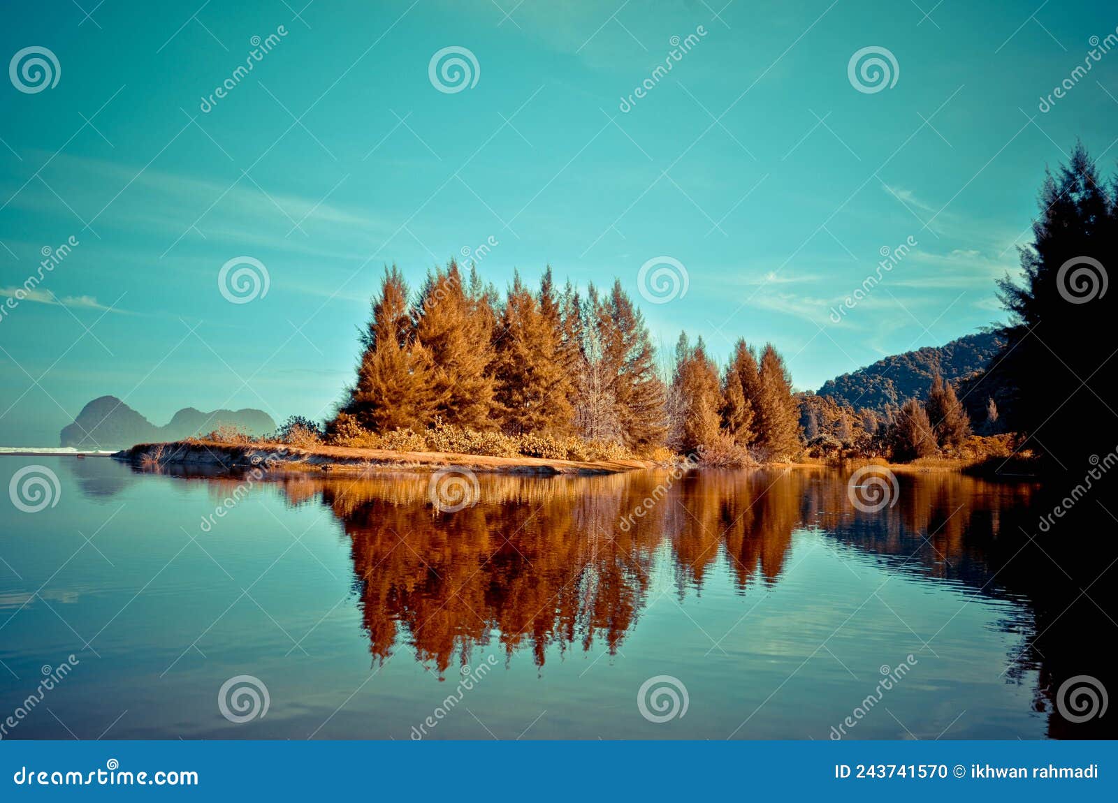 Reflection of Pine Trees on the Water Stock Photo - Image of nature ...