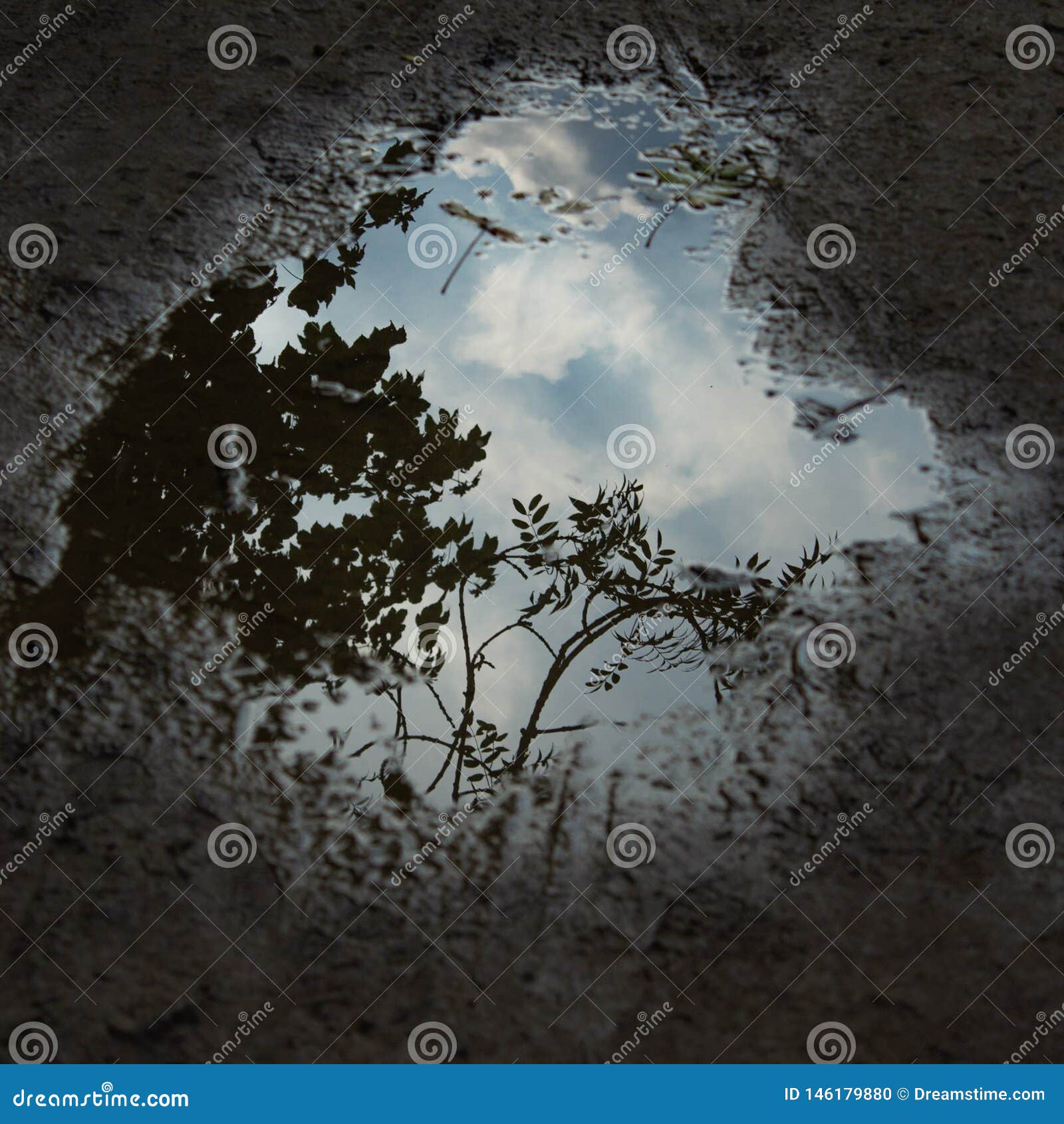 Dramatic sky in a puddle stock photo. Image of moody - 146179880