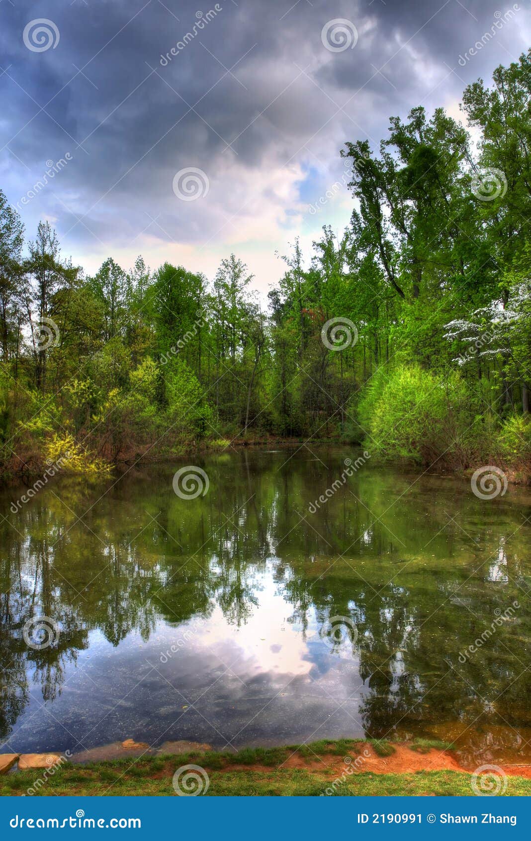 Reflection of a Pond stock image. Image of branch, forest - 2190991
