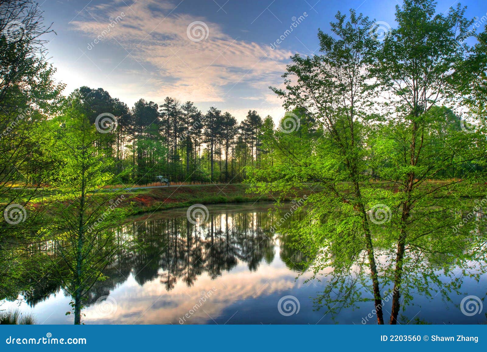 Reflection of a Pond stock photo. Image of plants, green - 2203560
