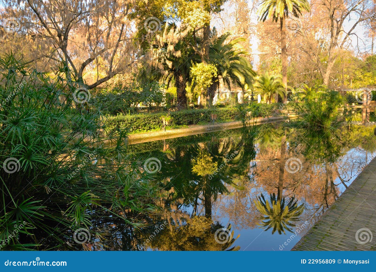 Reflection pond stock image. Image of andalusia, palms - 22956809
