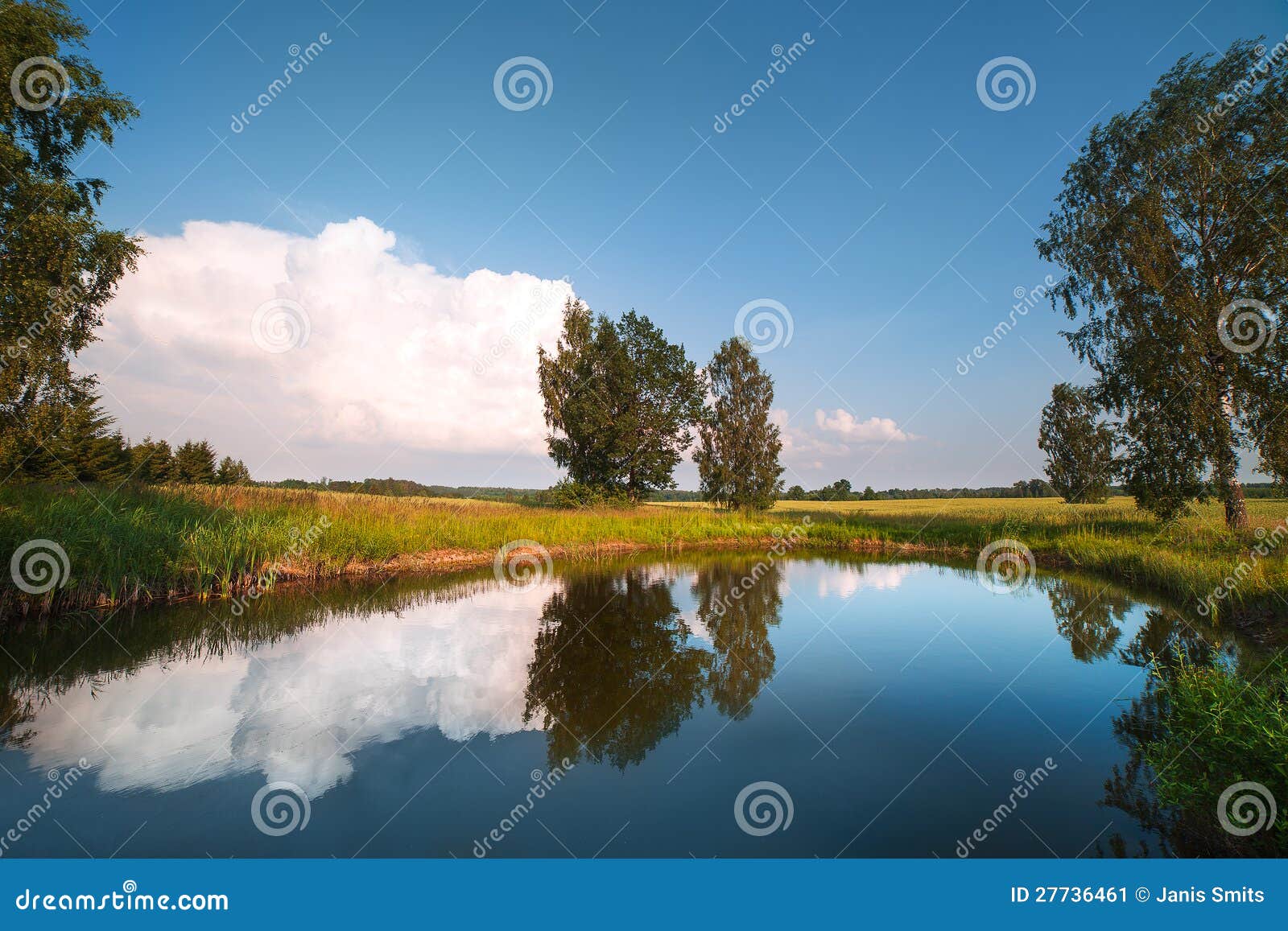 Reflection in pond. stock image. Image of green, nature - 27736461