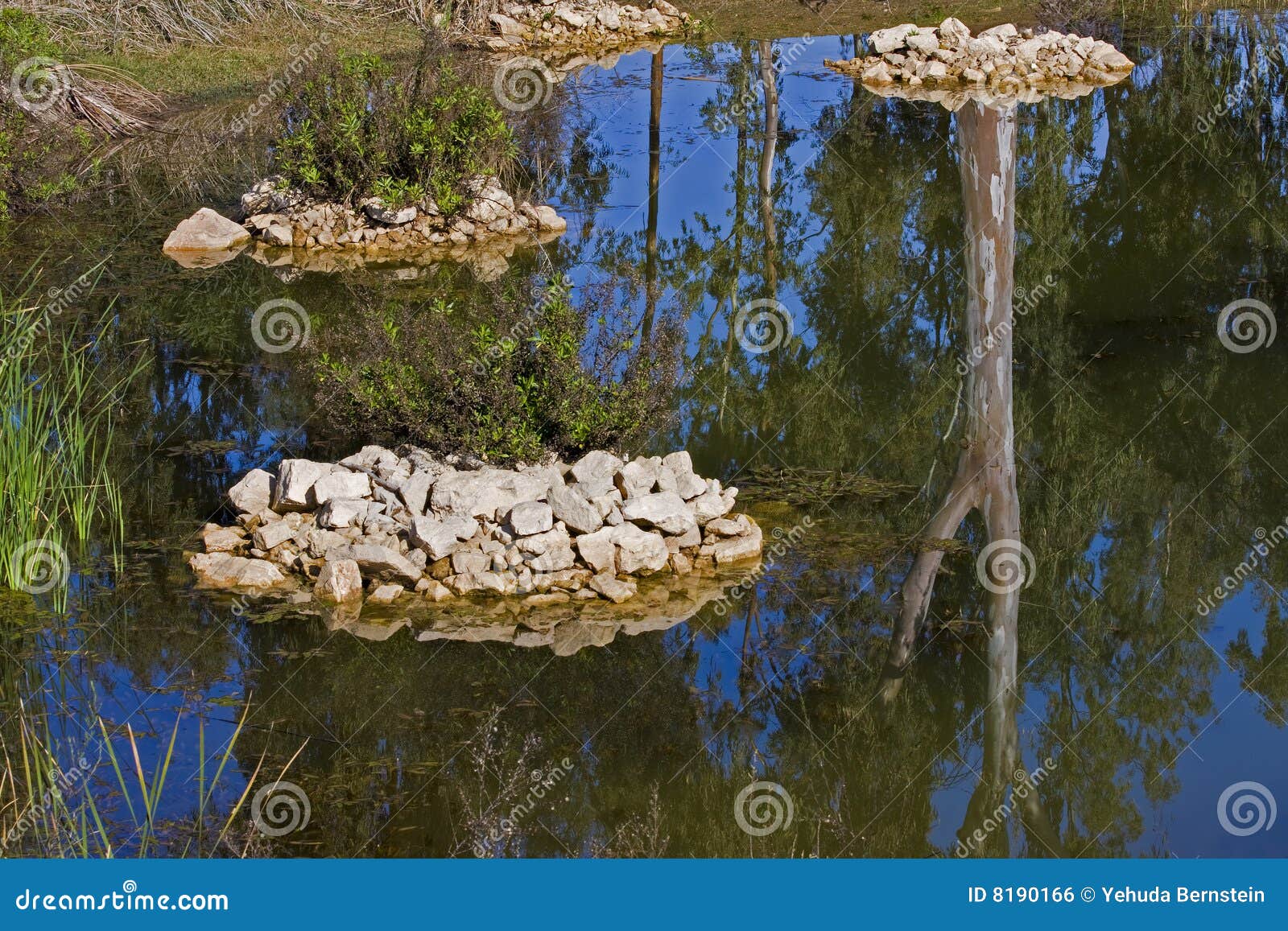 Reflection in the pond stock photo. Image of rock, picturesque - 8190166