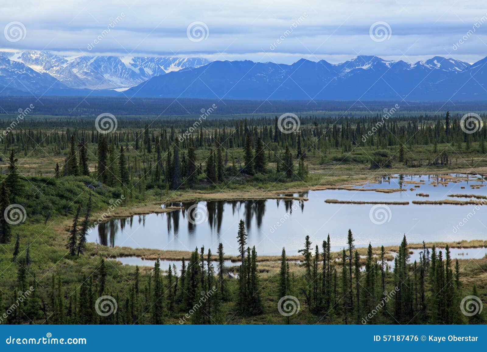 Reflection Pond and Brushkana River Stock Photo - Image of mountain ...