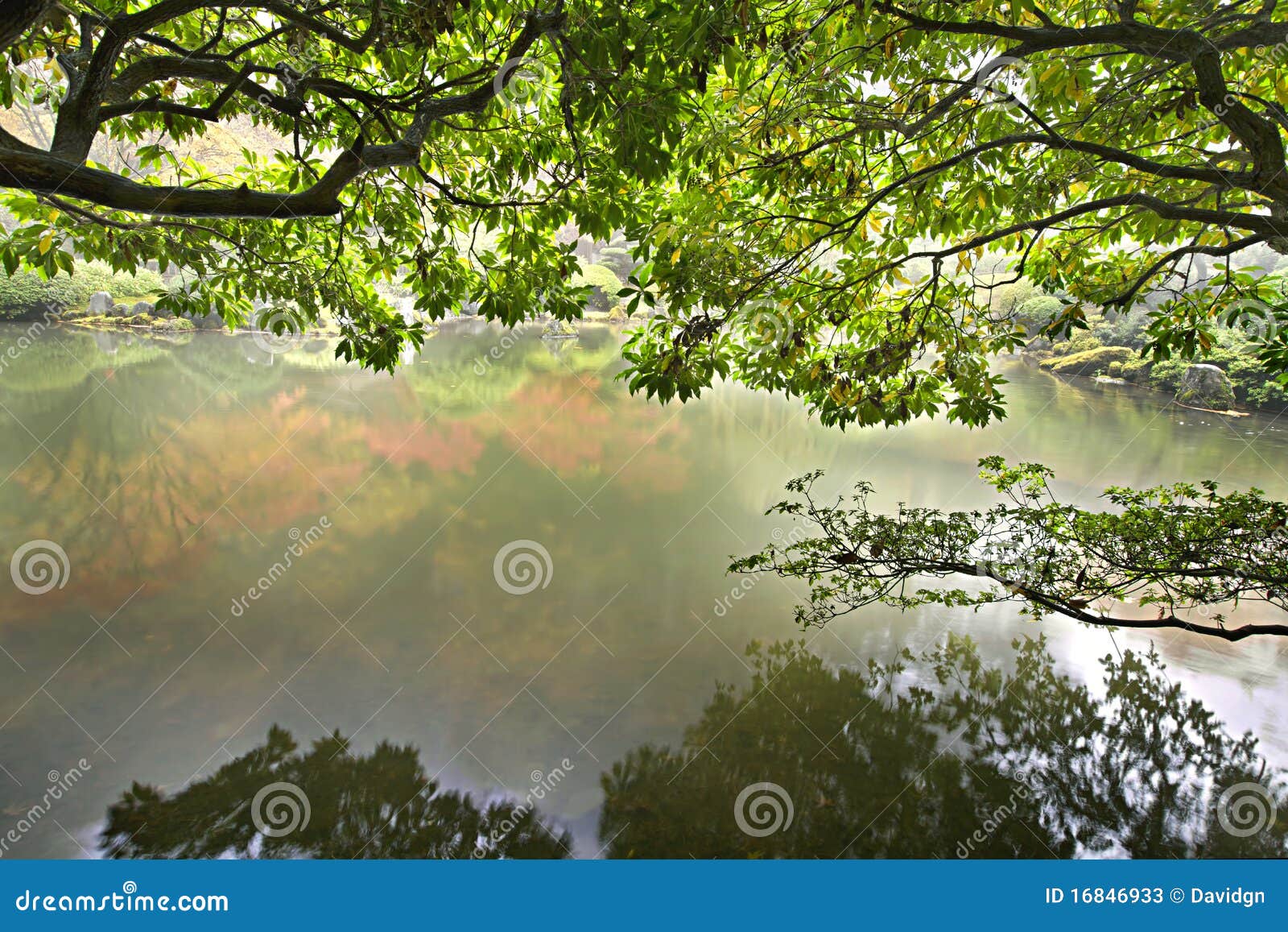 Reflection by the Pond in Japanese Garden Stock Image - Image of lake ...