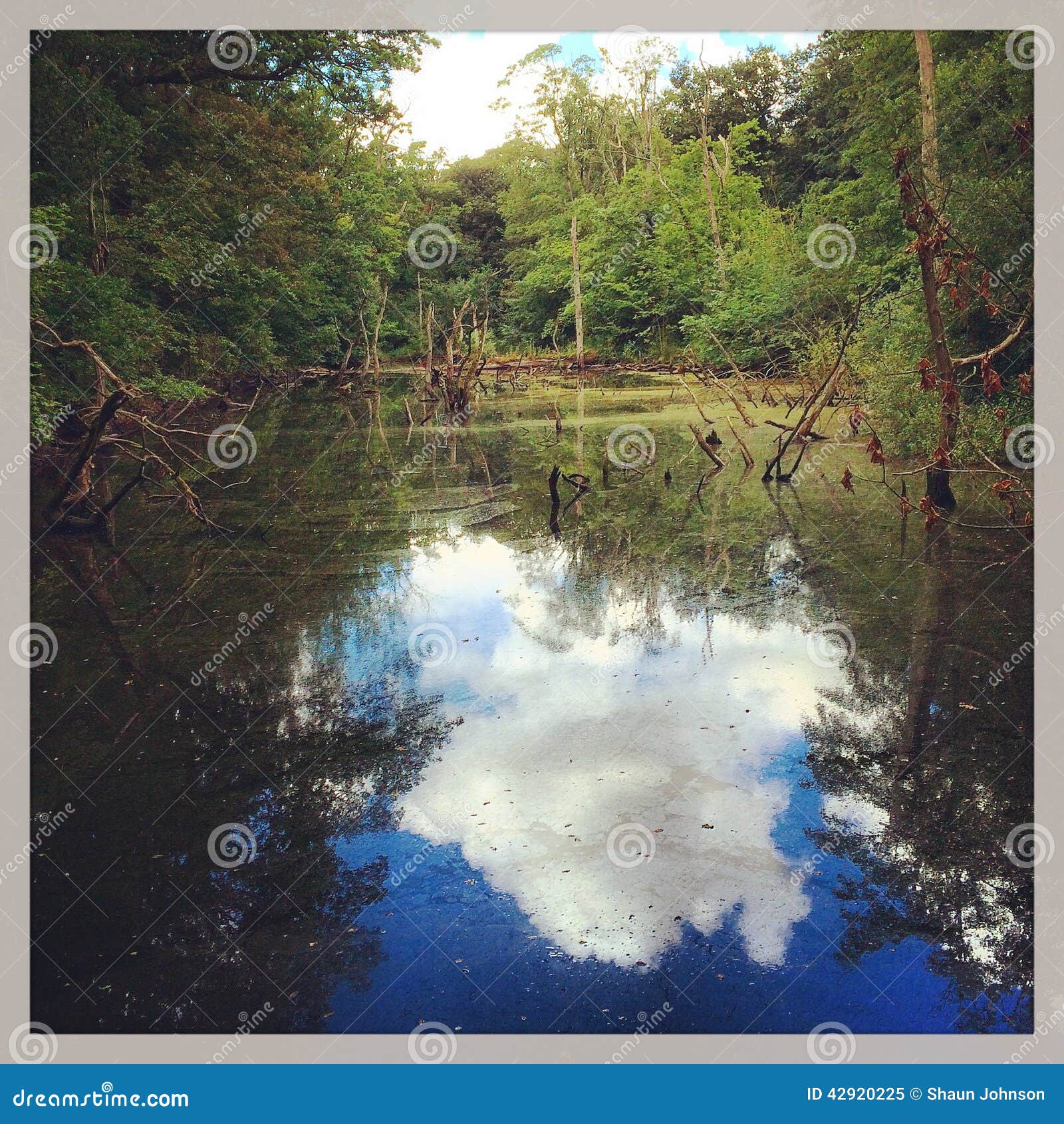 Reflection Pond editorial image. Image of water, lake - 42920225