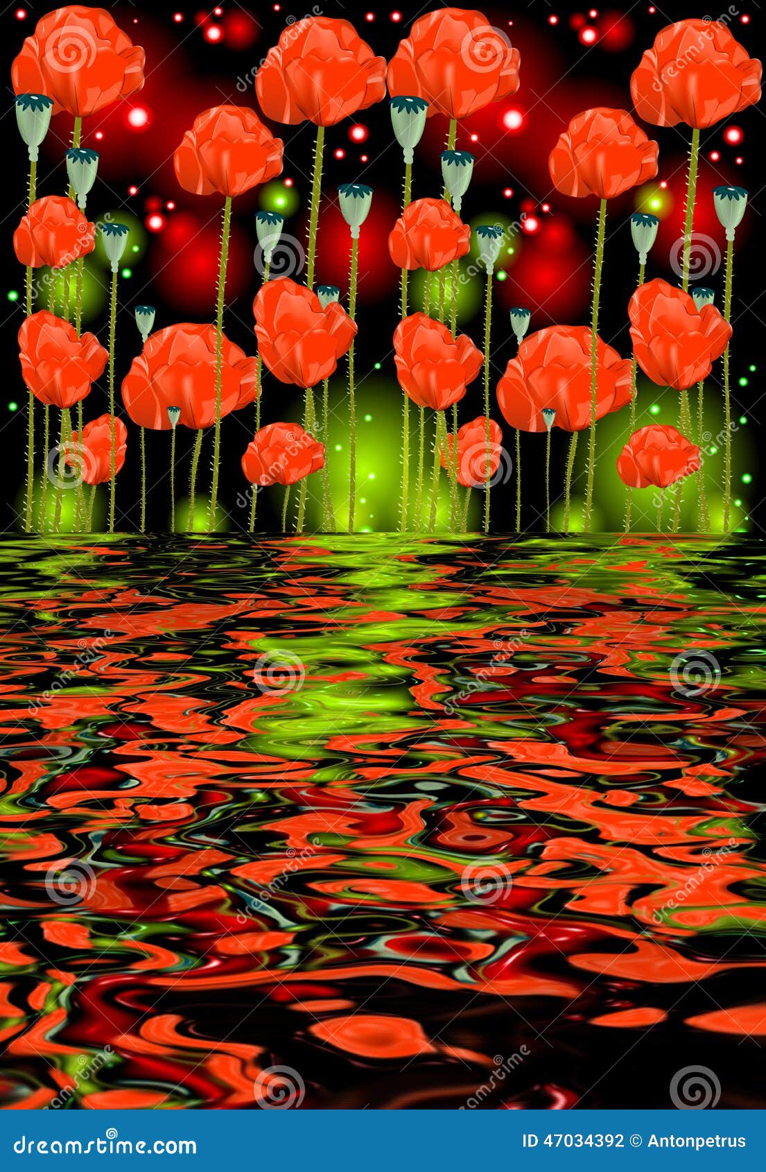 Reflection of Poppy Flowers in Water Stock Illustration - Illustration ...
