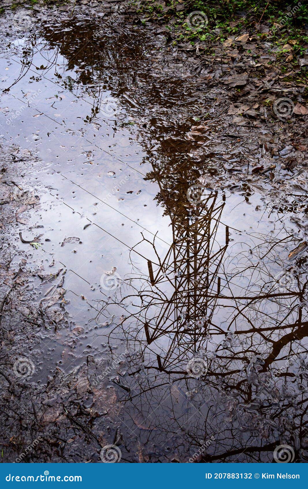 Reflection of Power Lines and Self-supporting Tower in a Puddle on a ...