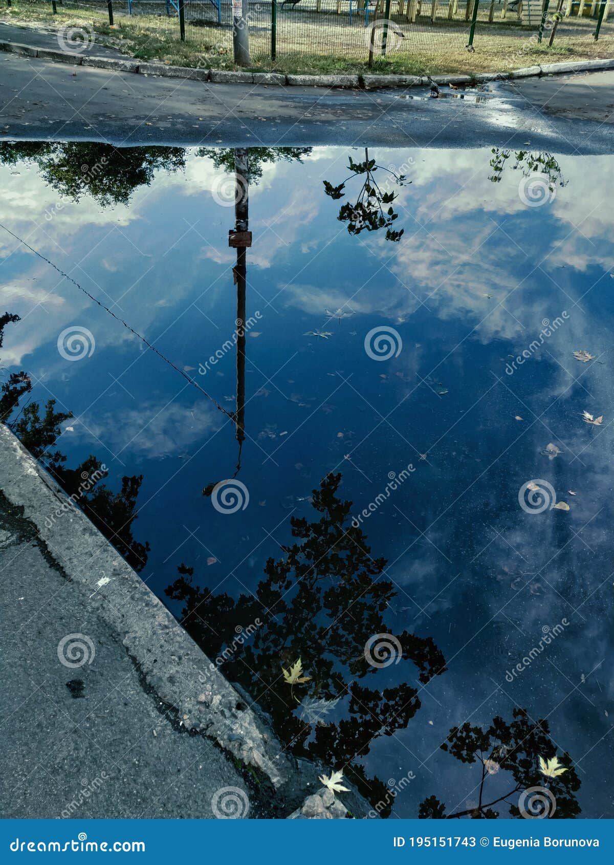 Reflection, Puddle, Blue Photography Stock Image - Image of evening ...