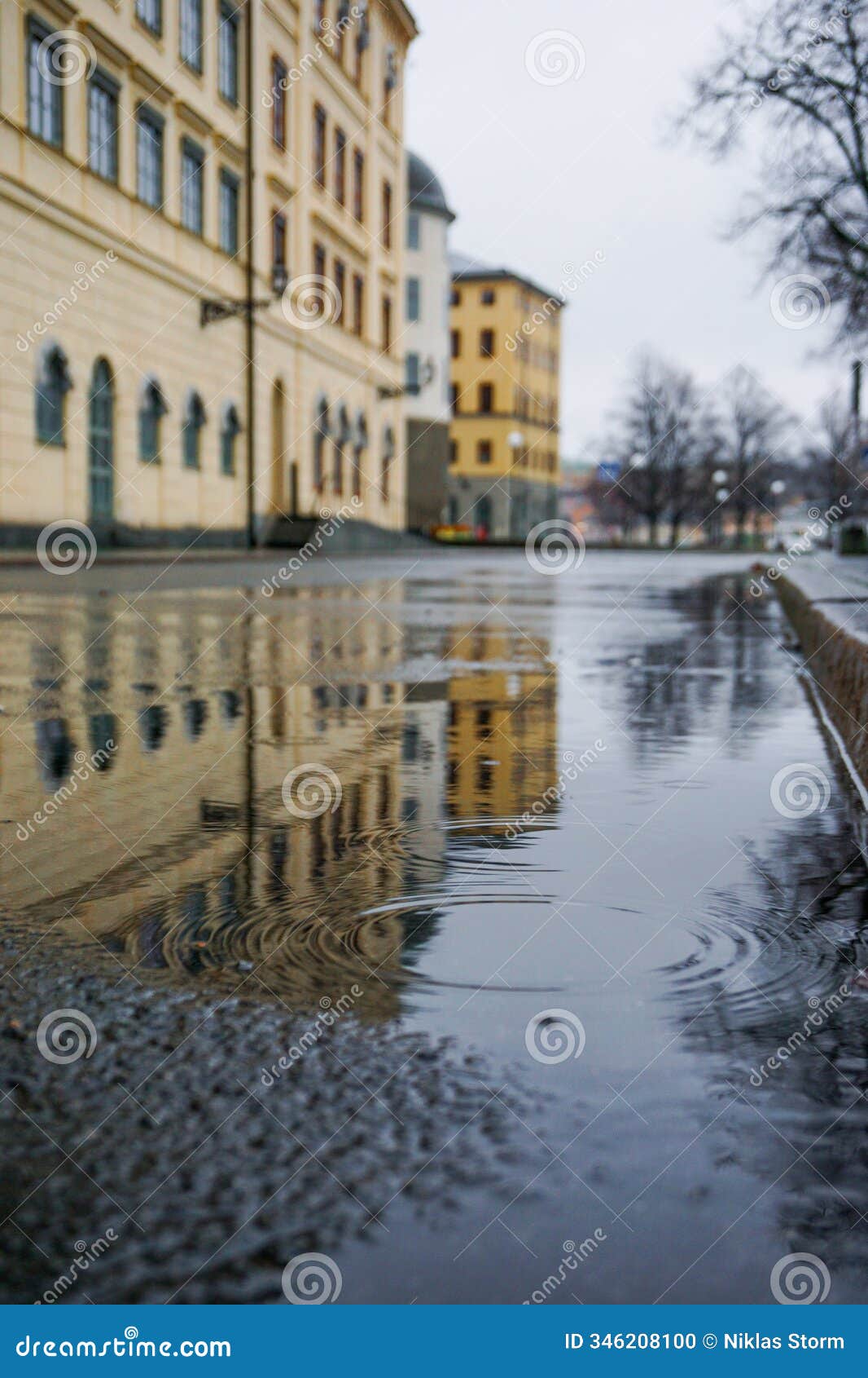 Reflection in a Puddle in City Stock Photo - Image of daytime, small ...