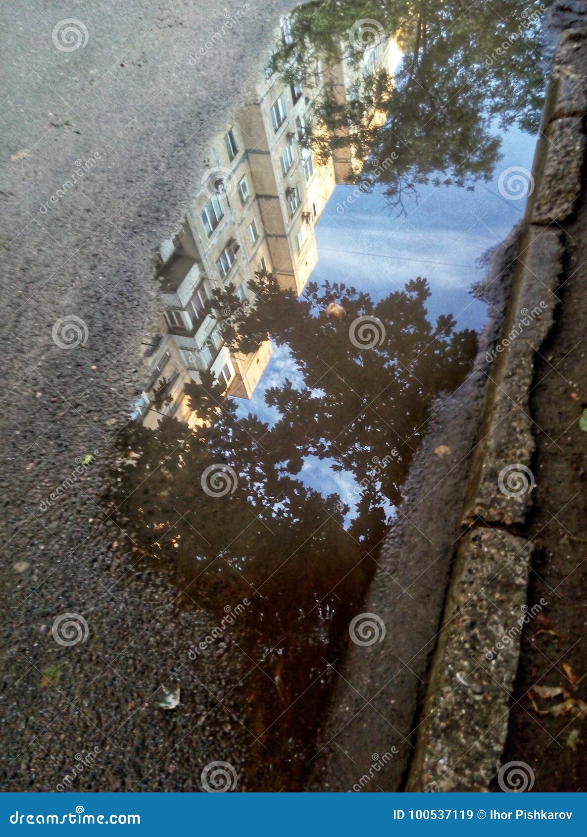 Reflection in a puddle stock image. Image of rain, water - 100537119