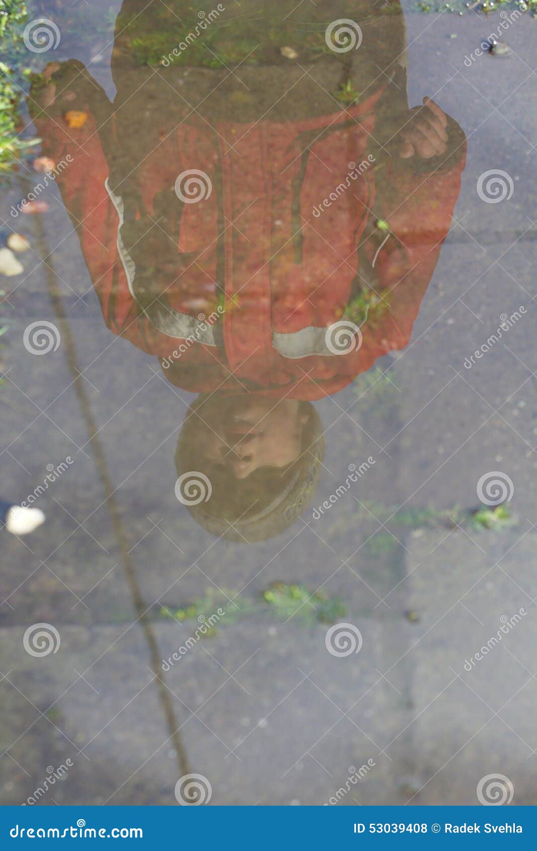 Reflection in puddle. stock photo. Image of outside, blue - 53039408