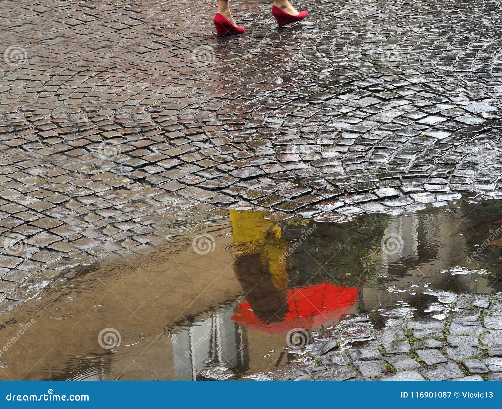 Reflection in a puddle stock image. Image of girl, weather - 116901087