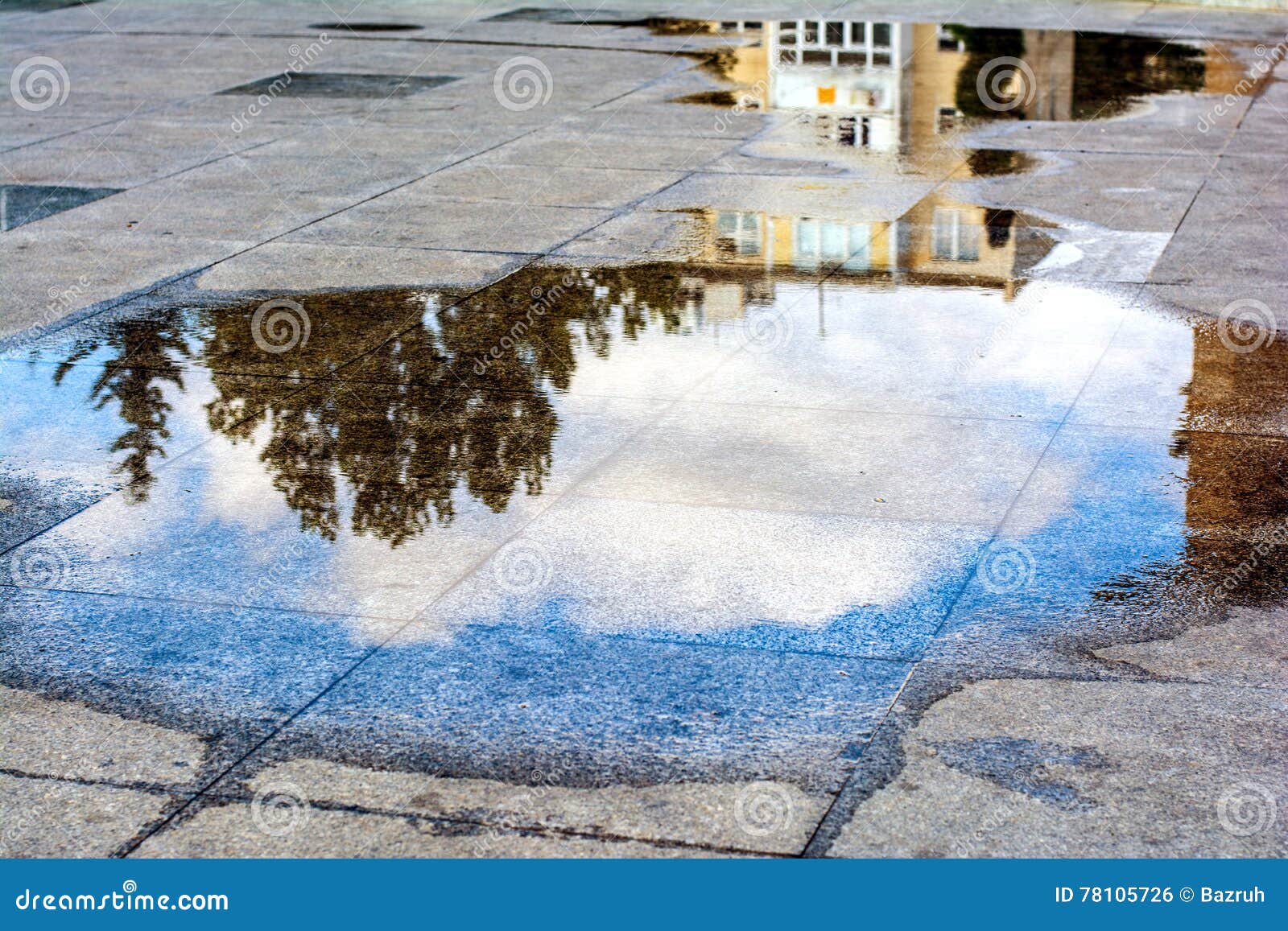 Reflection in puddle stock photo. Image of blue, asphalt - 78105726
