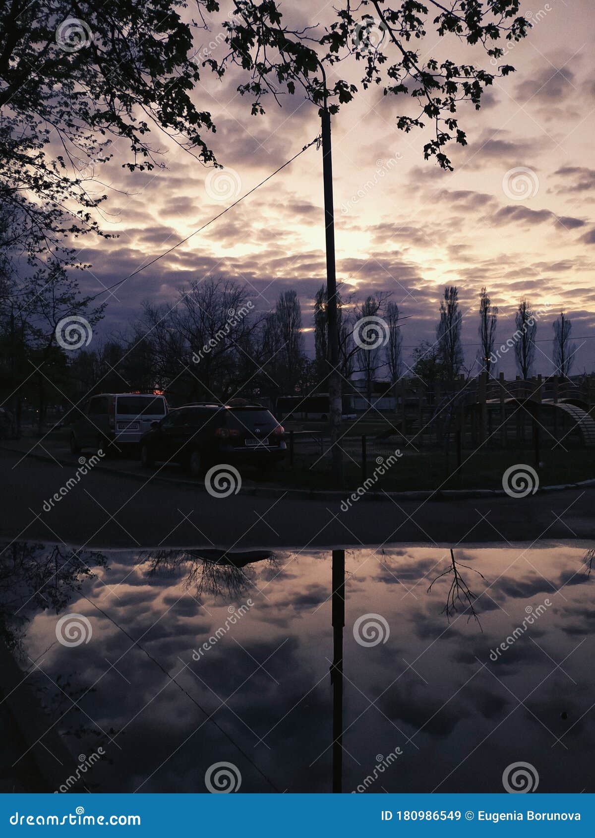 Reflection, Puddle Reflection, Sunset Sky, Gold and Pink Sky, Sky and ...