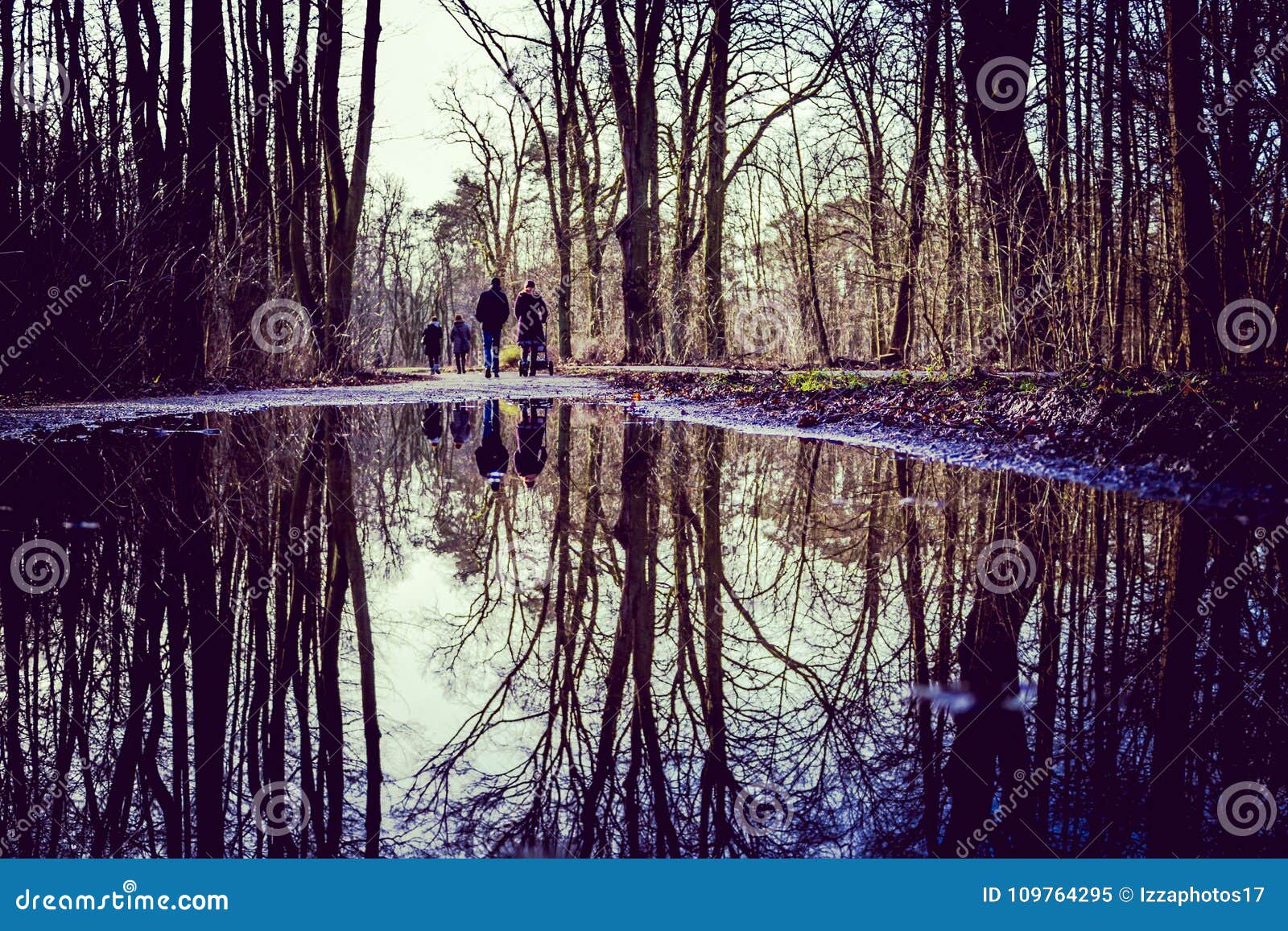 Reflection in the Puddle of Water Stock Image - Image of human, person ...