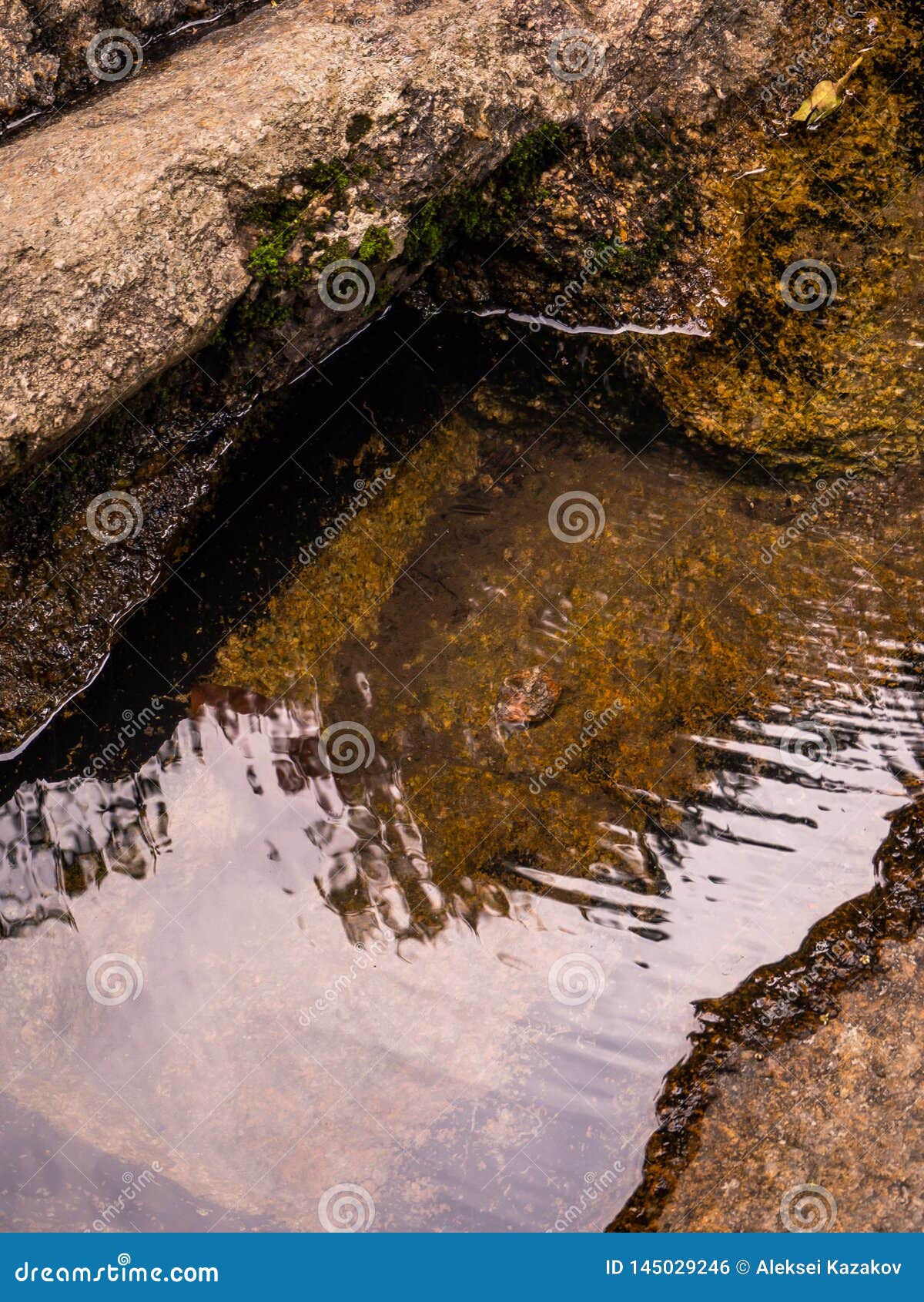 Reflection in a Puddle of Waterfall Stock Photo - Image of beautiful ...