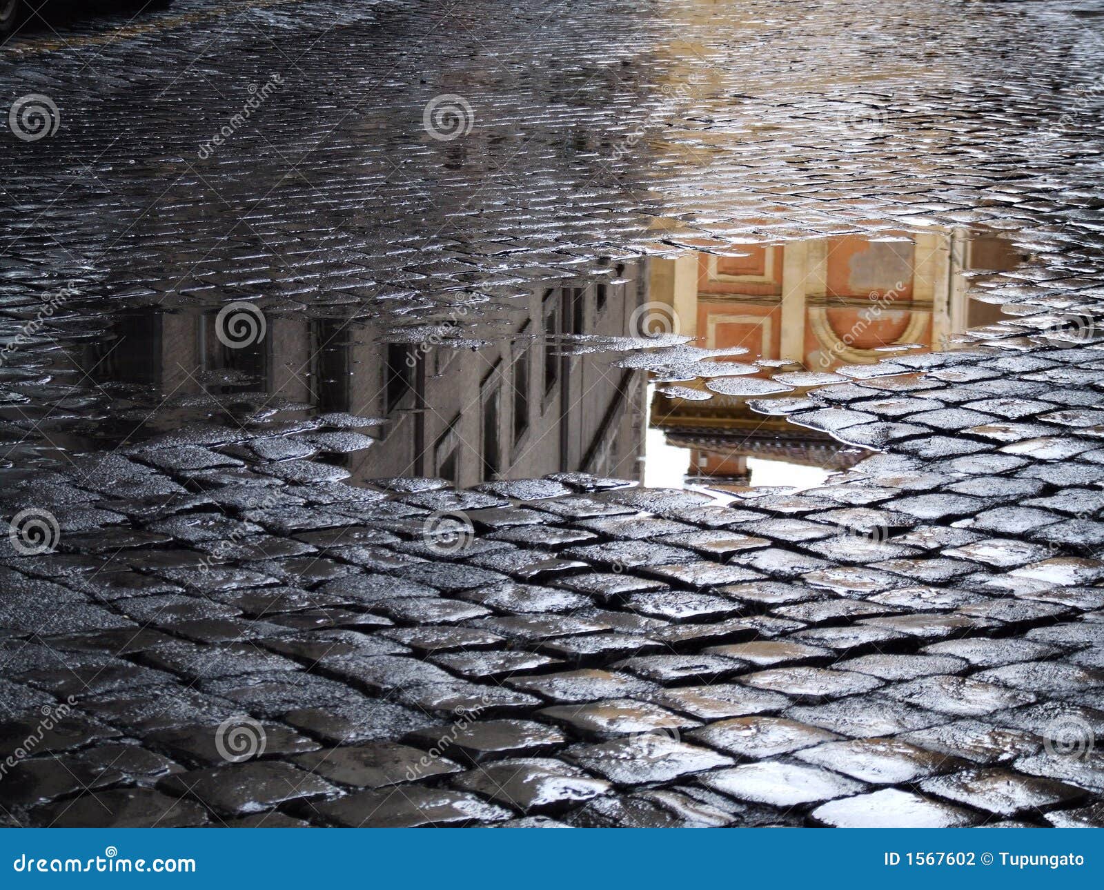 Reflection In Puddles After Rain Stock Photography - Image: 1567602