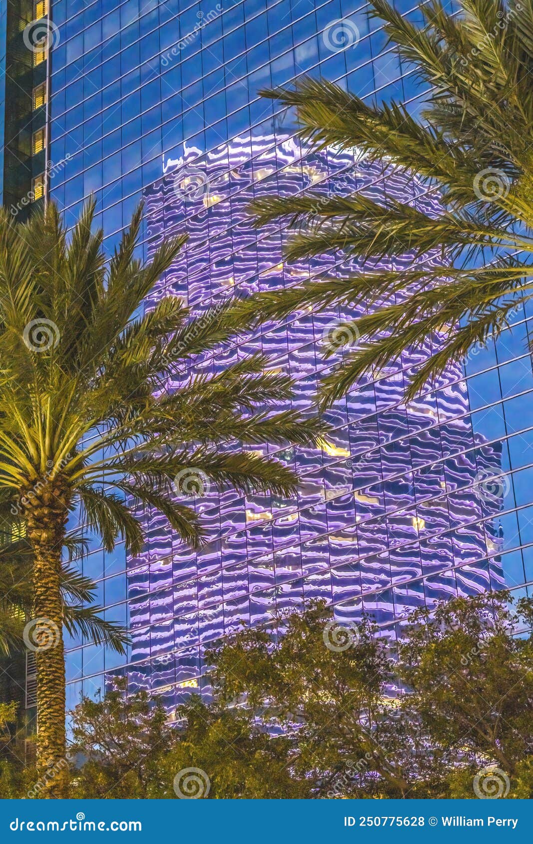 Reflection Purple Building Downtown Miami Florida Stock Photo - Image ...