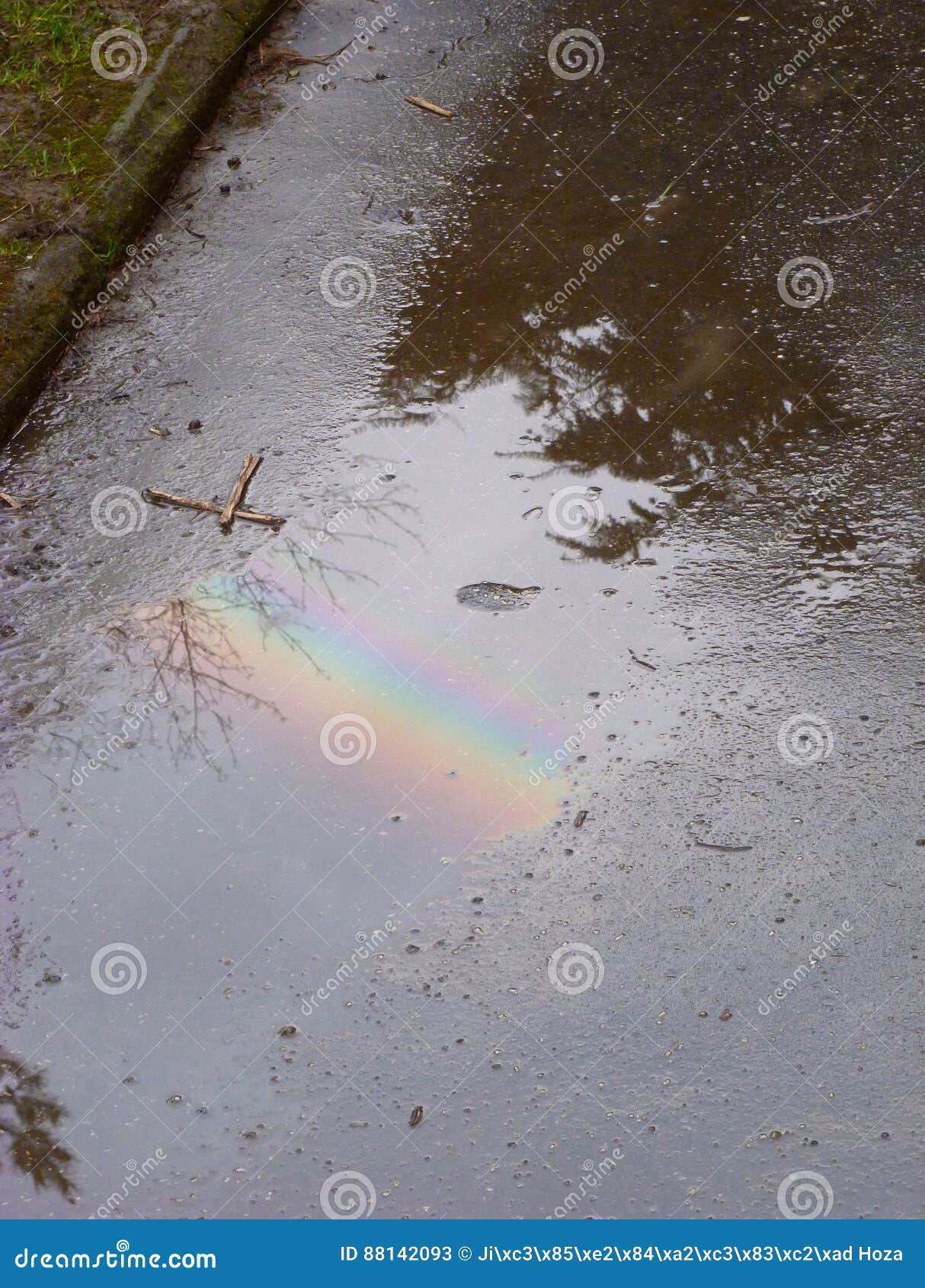 Reflection of a rainbow stock image. Image of puddle - 88142093